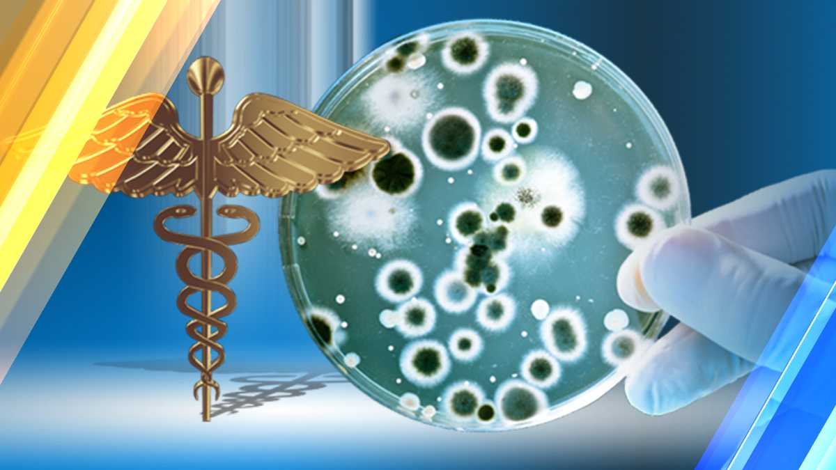 Mumps and the MMR shot: Information for parents