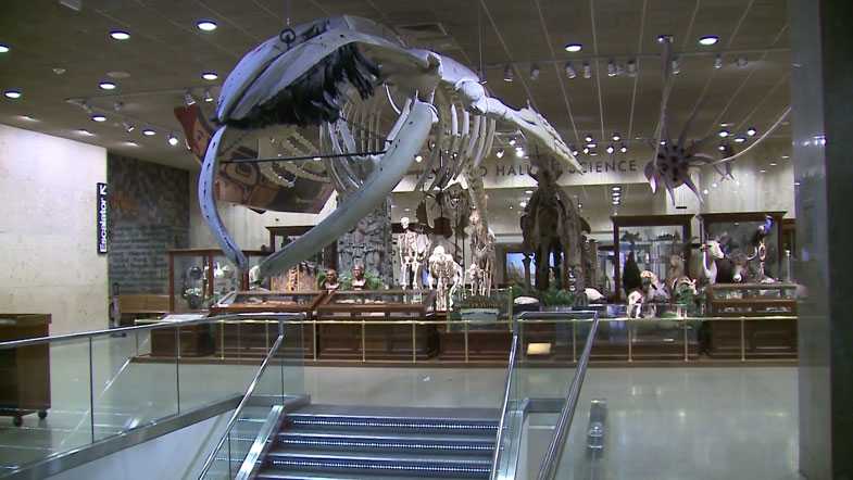 Milwaukee Museum Week begins Monday