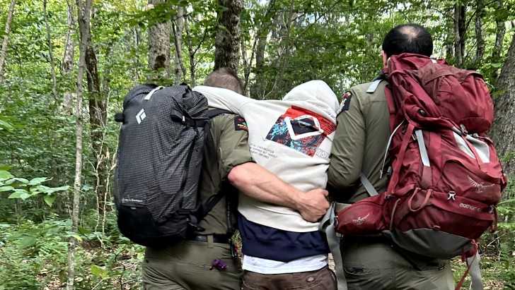New York Forest Rangers help lost hikers who took psychedelic mushrooms