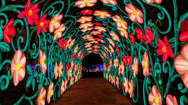 China Lights 2023 from Sept. 15 to Oct. 29