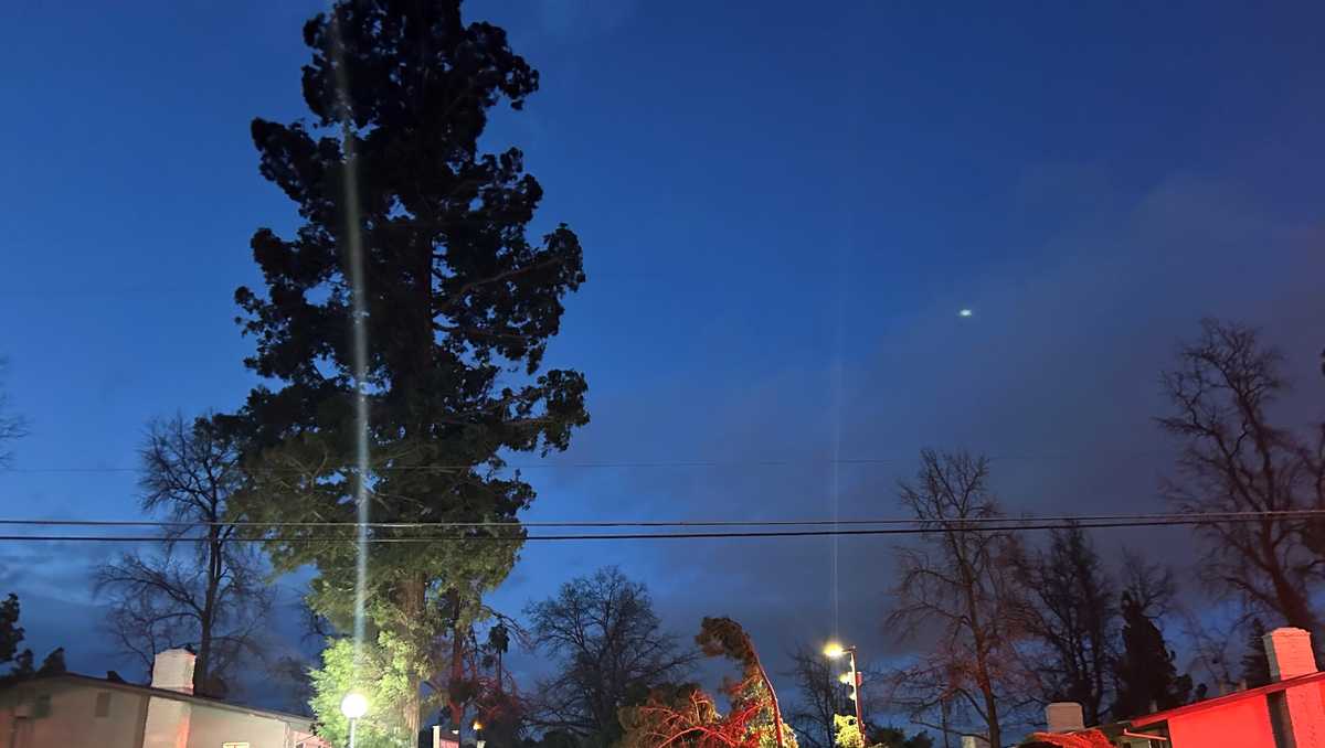 Up to 25 people displaced after tree falls on apartment complex in ...