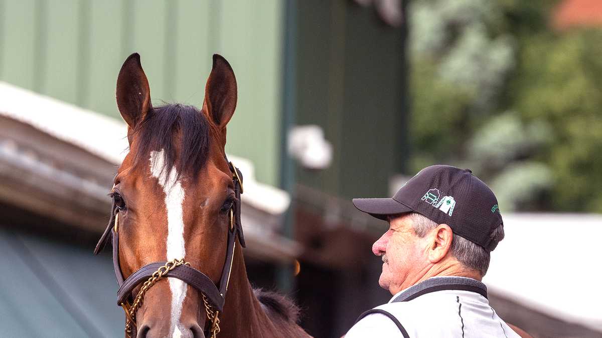 149th Preakness Stakes in photos