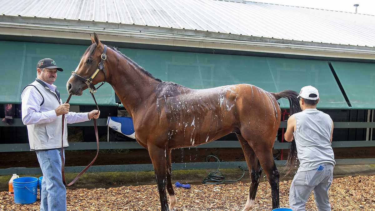 149th Preakness Stakes in photos
