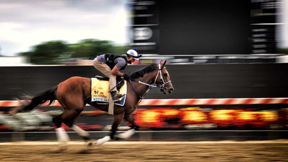 149th Preakness Stakes in photos