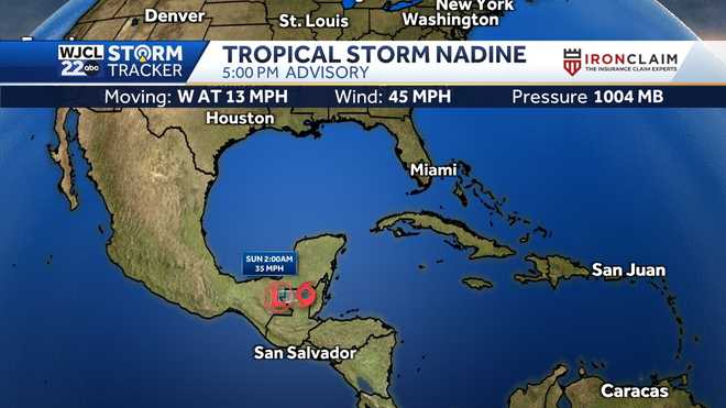 Savannah: Tracking Oscar and Nadine