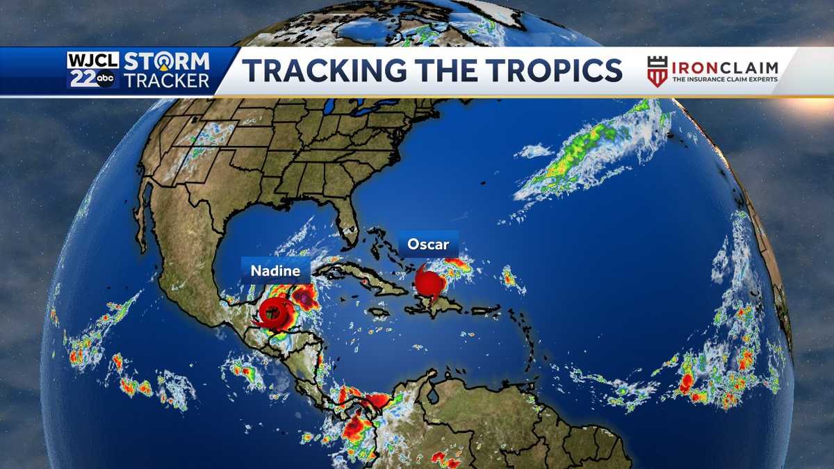 Savannah: Tracking Oscar and Nadine