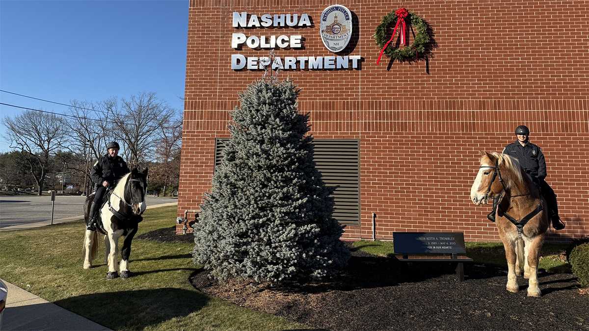 Nashua, New Hampshire police debut mounted patrol horses