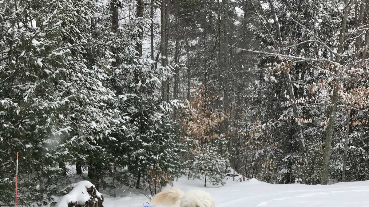 Photos: Snowy scenes around New Hampshire