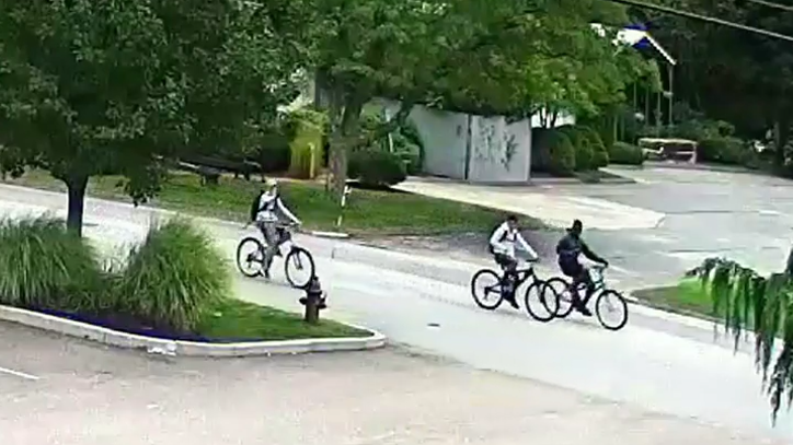 Bicycle-riding vandals armed with BB gun cause thousands in damage