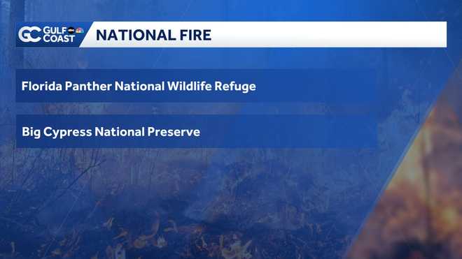 How wildfires get their name