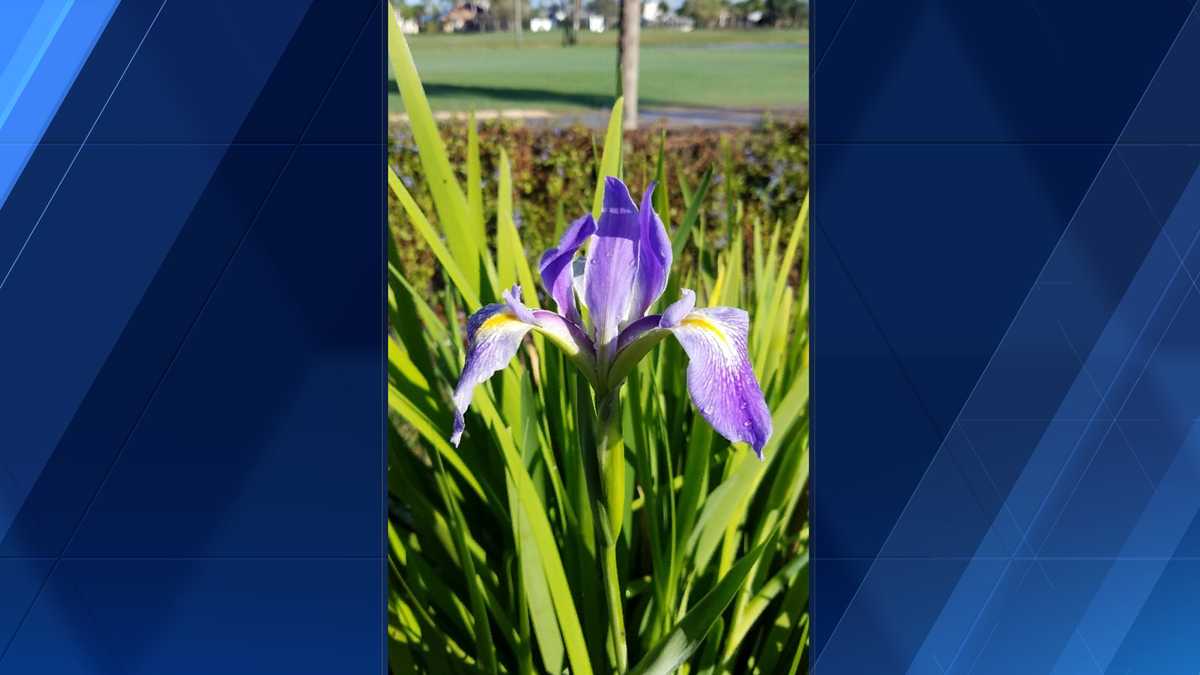 Erin Guy - Journalist Profile - Intelligent Relations