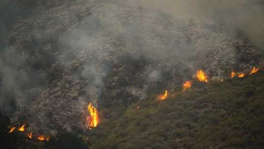 PHOTOS: Soberanes Fire's marks on nature around Big Sur