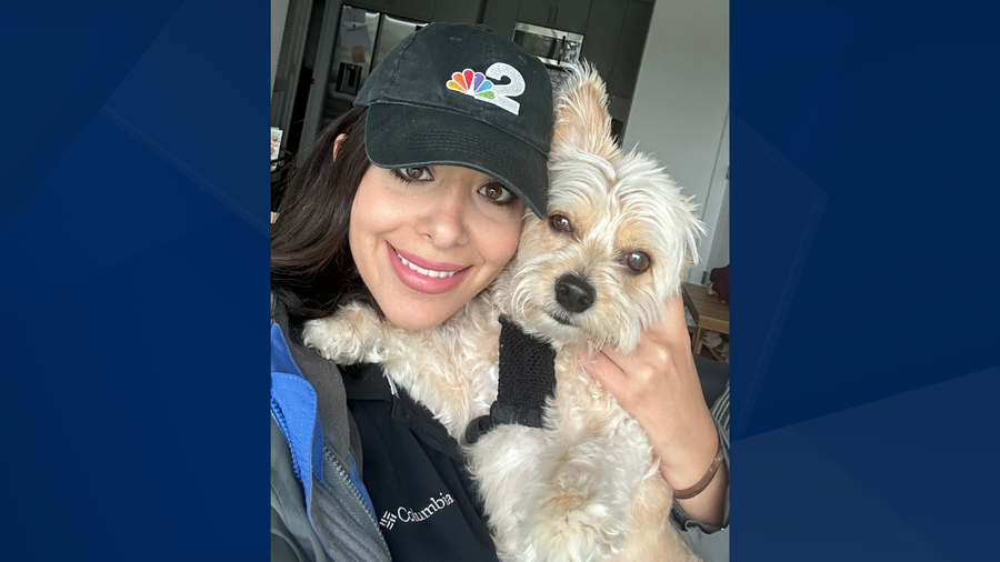 National Shelter Pet Day: Meet NBC2 News team's rescues