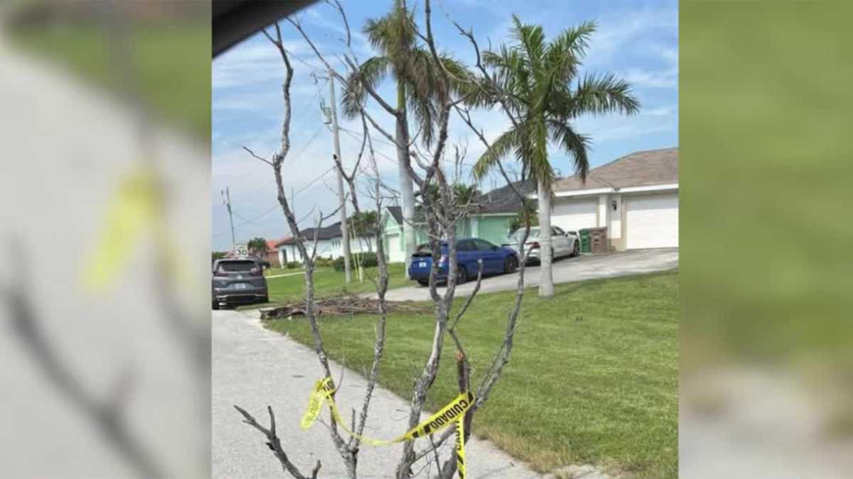 Cape Coral neighbors warn of pothole with tree branch decoration