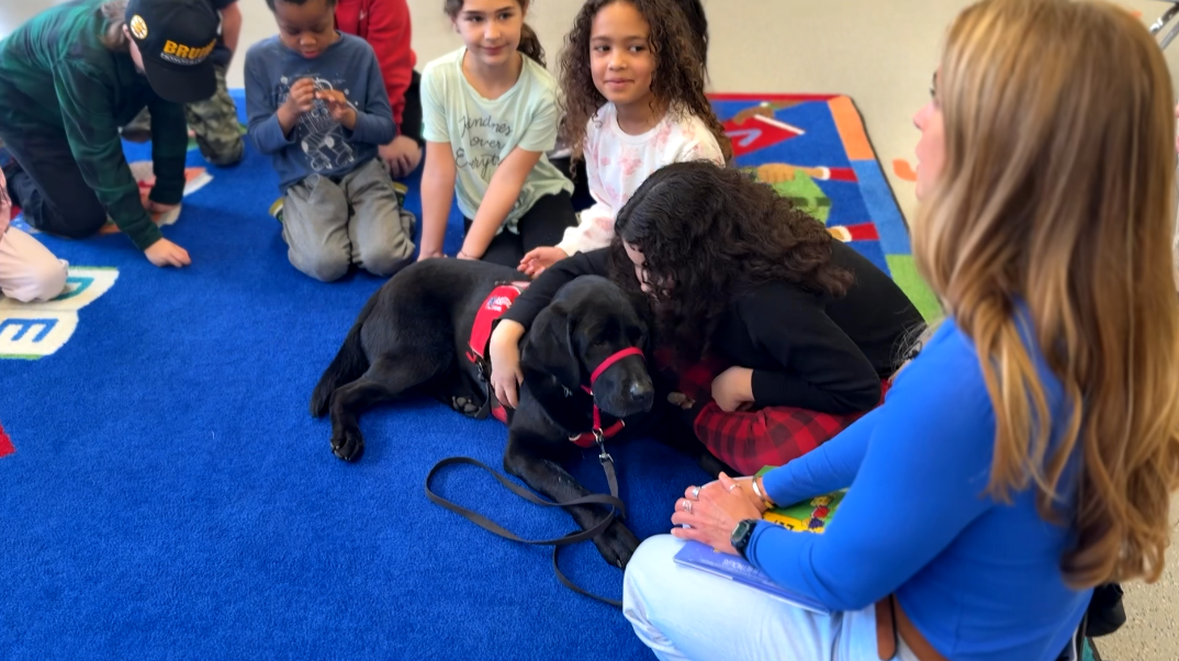 5 for Good: Service dog nonprofit celebrates 50 years of work
