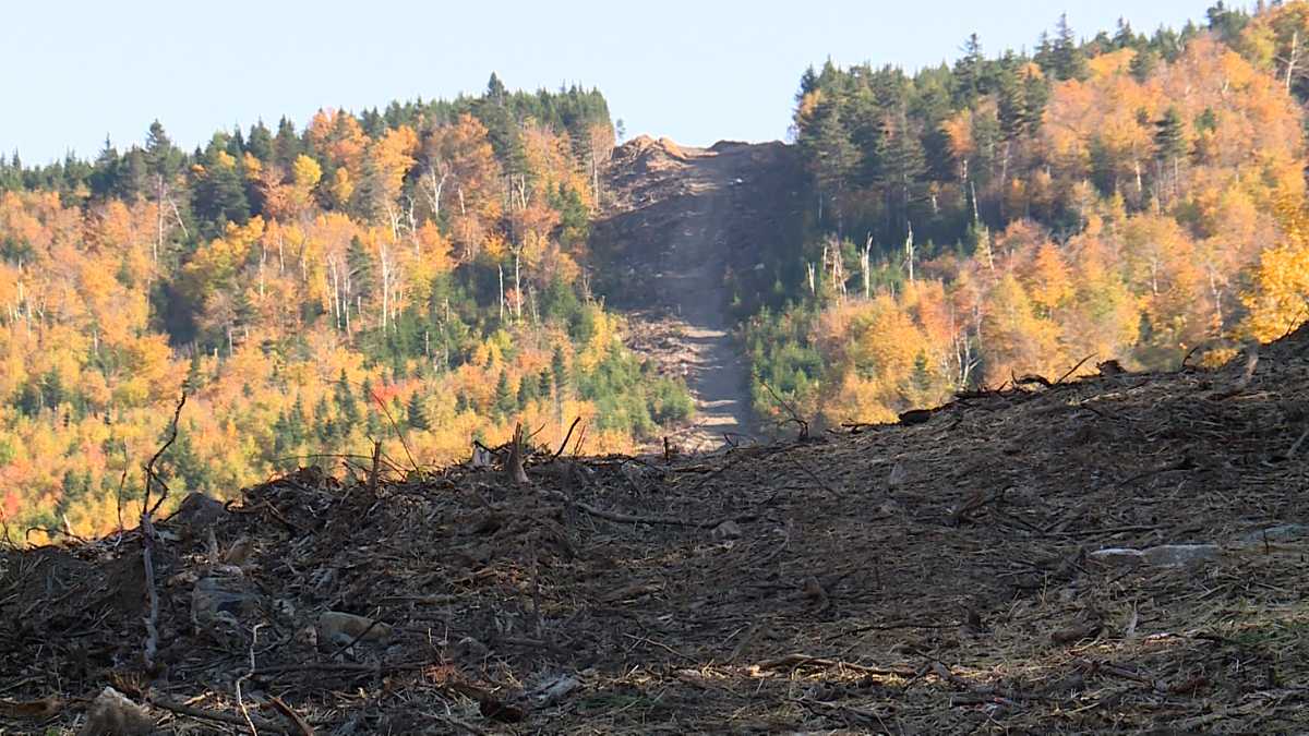 Maine Question 1 on CMP corridor: What to know