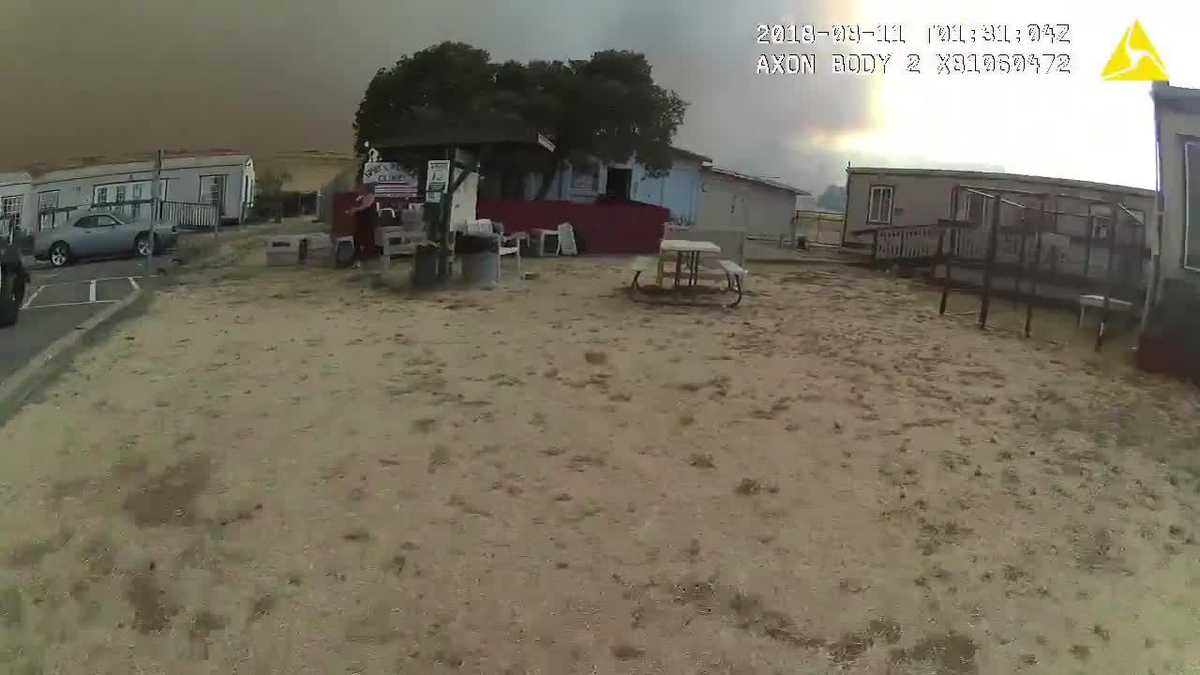Caught on video: 60 dogs, cats saved by police in daring wildfire rescue