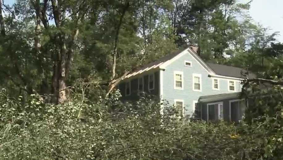 Watch: Storm damage causing problems in Nelson