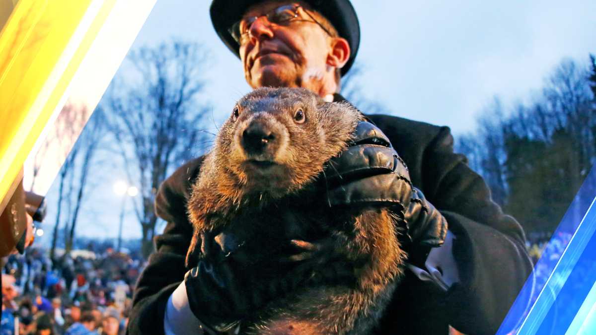Pennsylvania groundhog's handlers: Phil predicts more winter