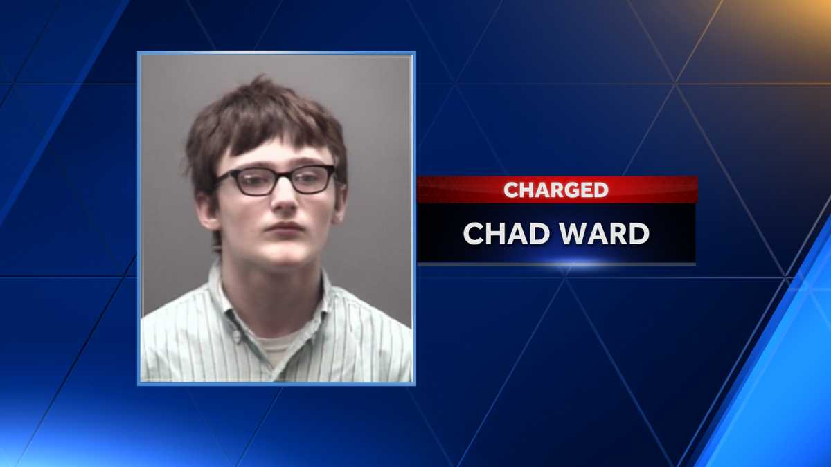 16 Year Old Faces Multiple Charges For Alleged Sexual Acts