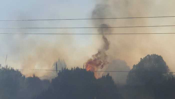Boston Hill Fire contained in Silver City