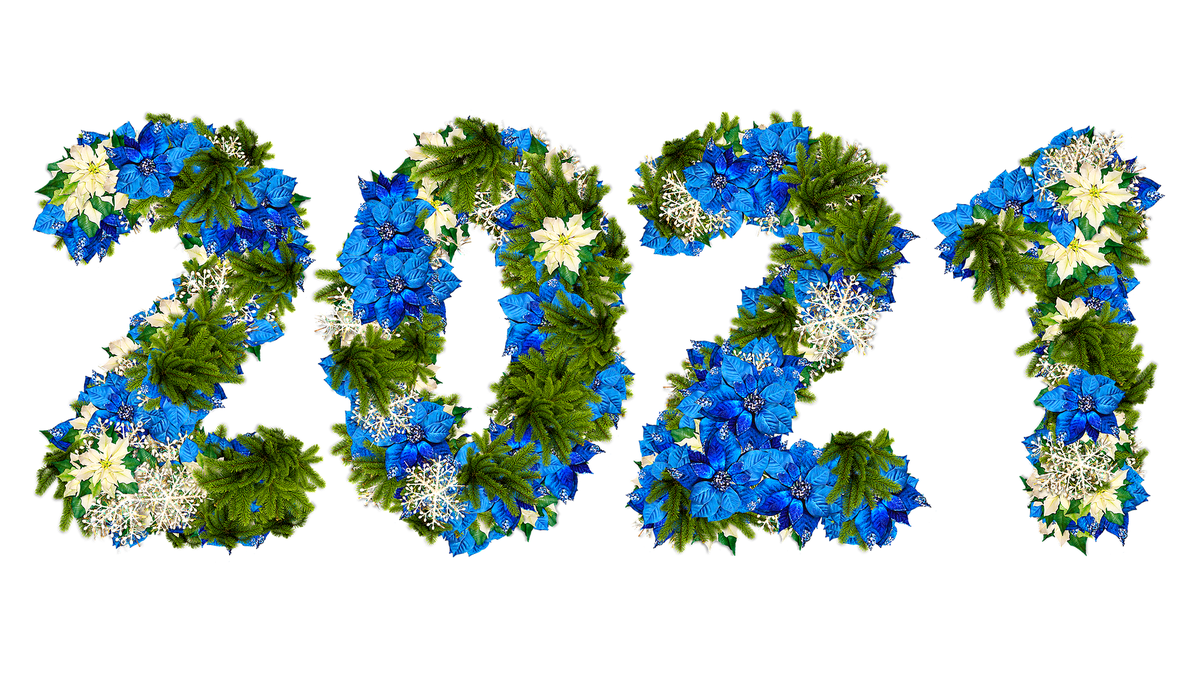 2021 moments: A look at the top viral happy stories of the year