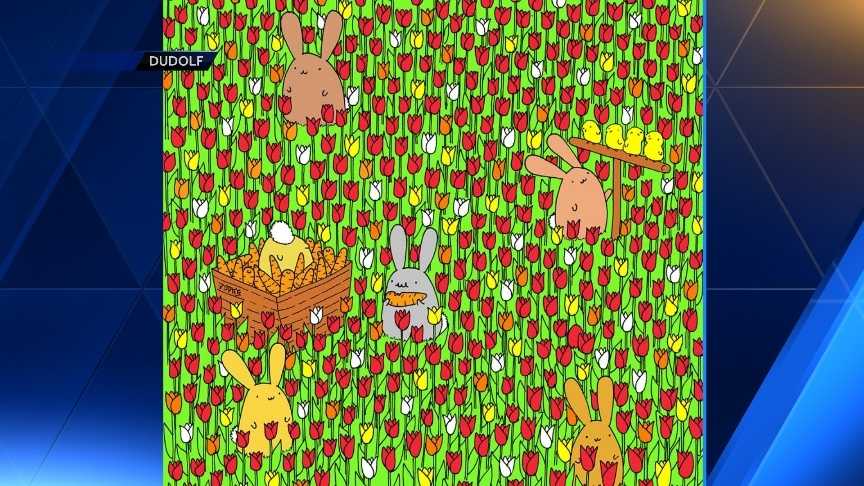 Puzzle time: Can you find the Easter egg among the tulips?