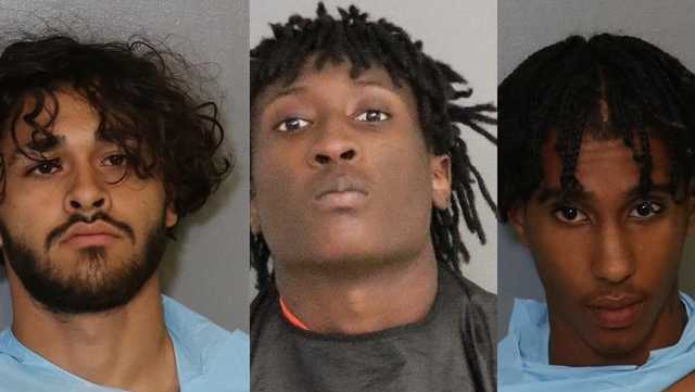 3 Suspects Arrested After Osceola County Vehicle Burglaries