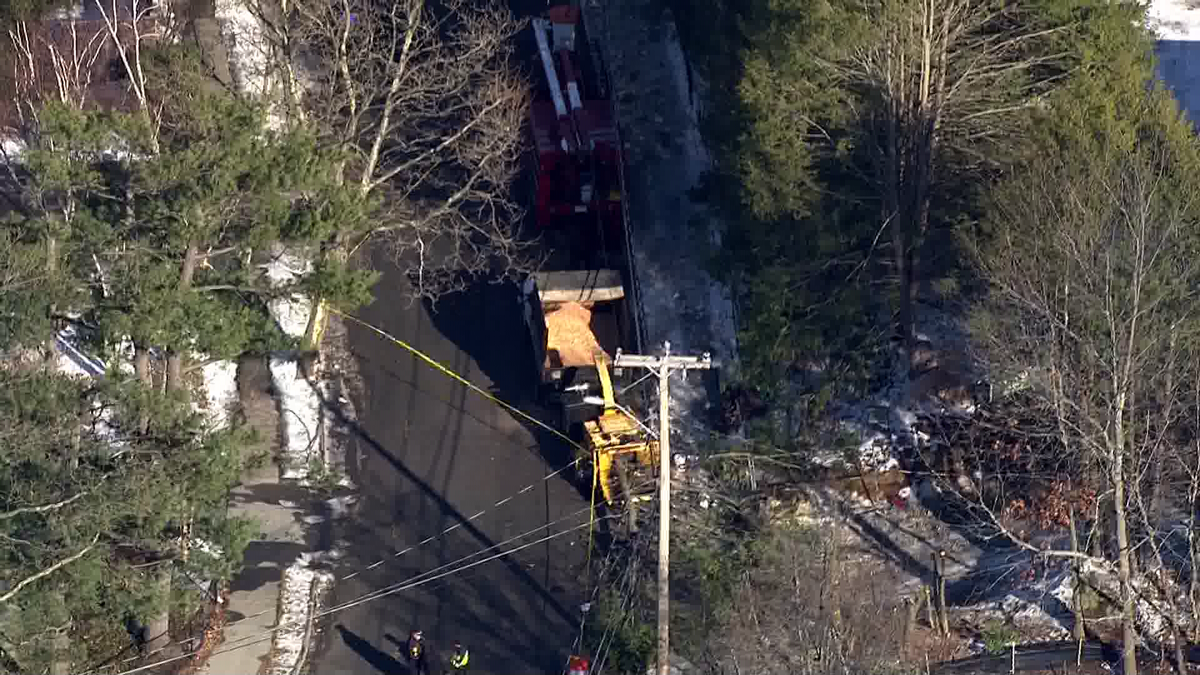 Worker shocked, injured while removing tree in Newton