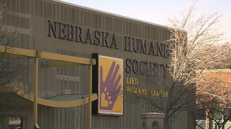 Nebraska Humane Society celebrates birthday with adoption special