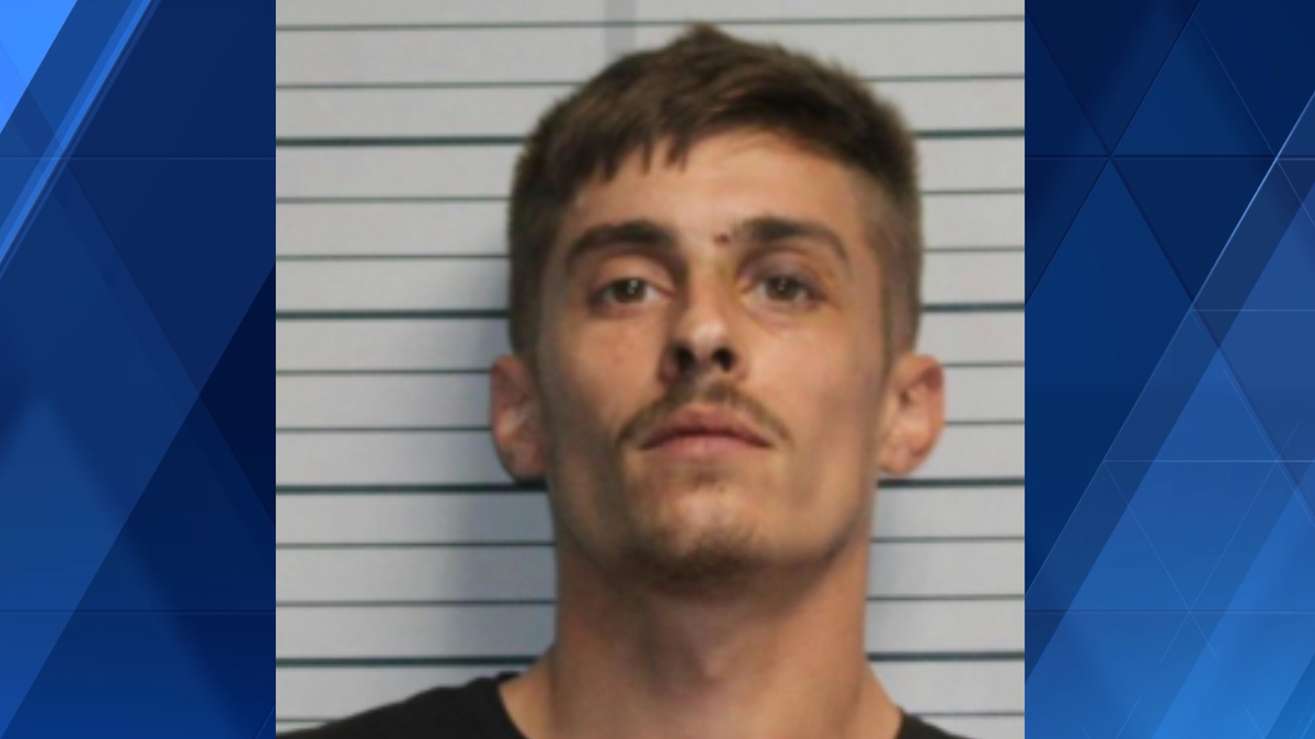 Sheriff: Wayne Township man accused of stabbing family dog to death