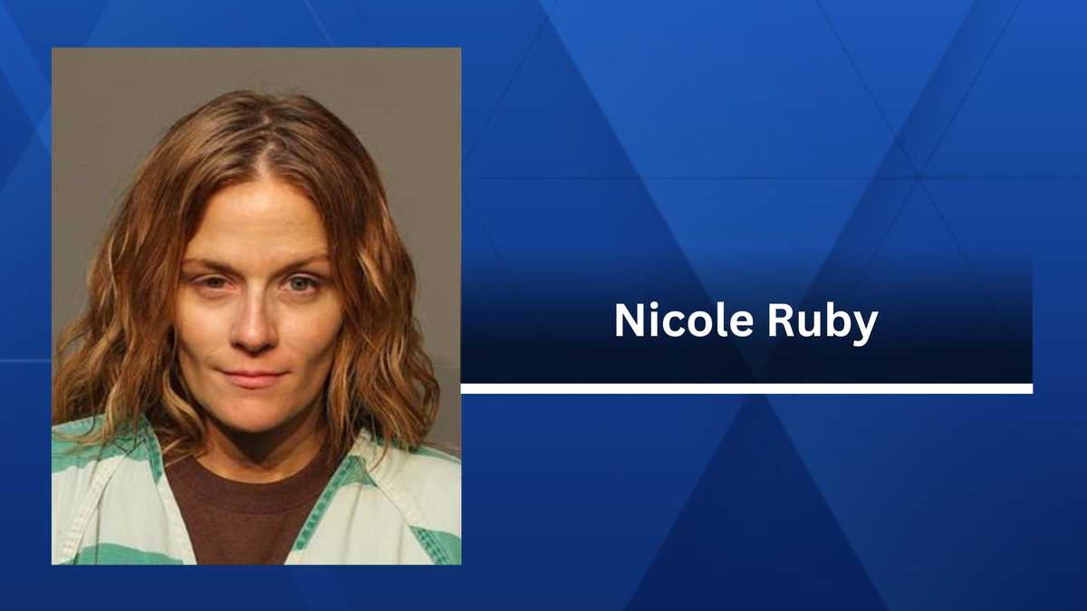 Des Moines woman arrested for leading police chase in stolen car