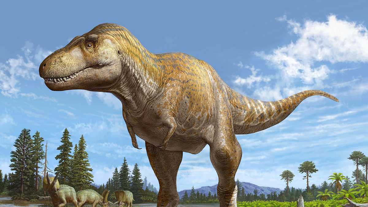 Researchers identify a fossil unearthed in New Mexico as an older, more ...