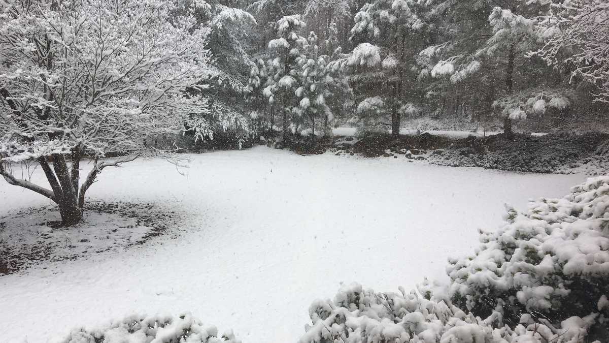 Pictures, video: Saturday snow falls across Upstate