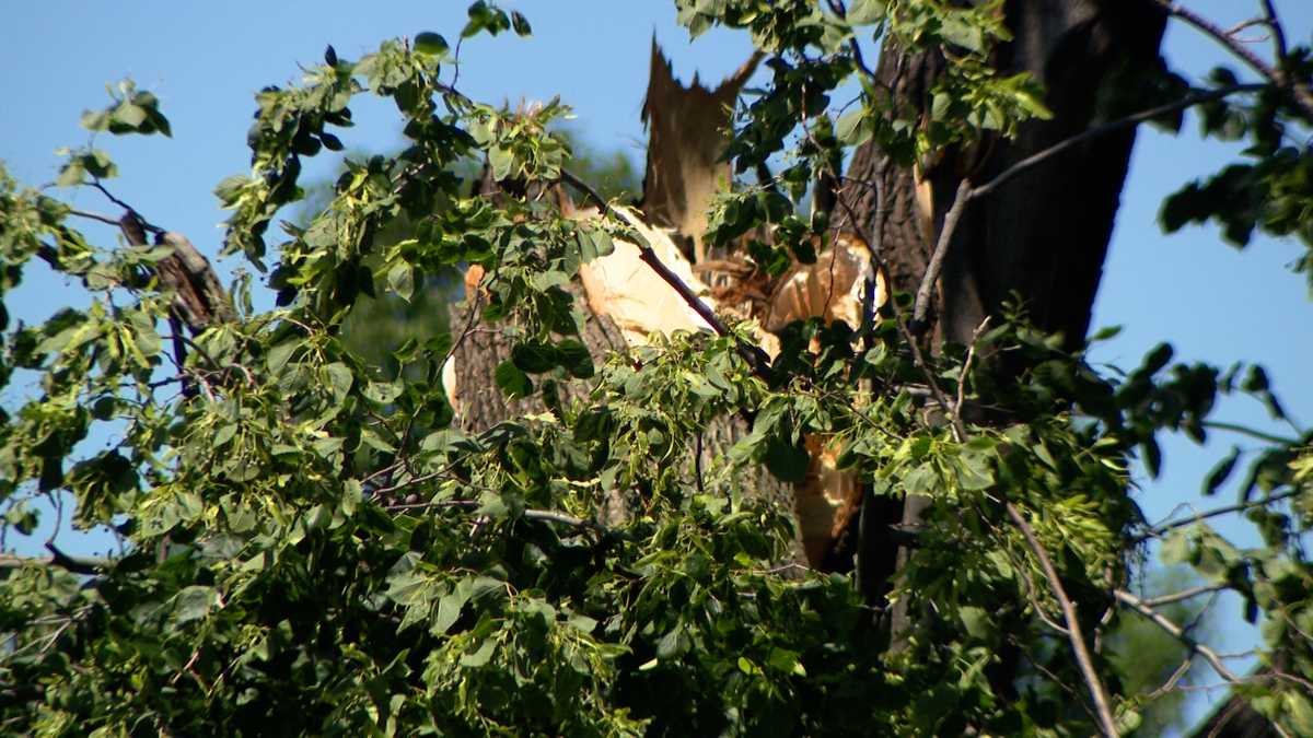 Omaha residents in the dark for hours after storm