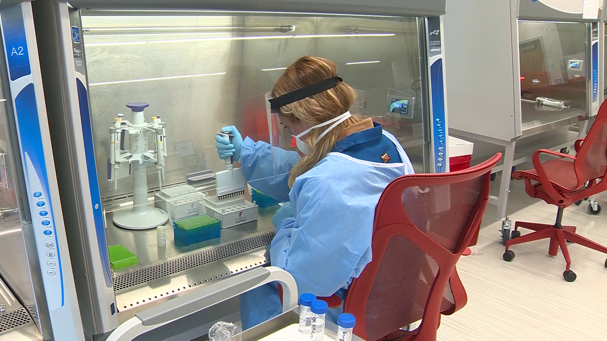 Inside the lab built to process thousands of COVID-19 tests for ...