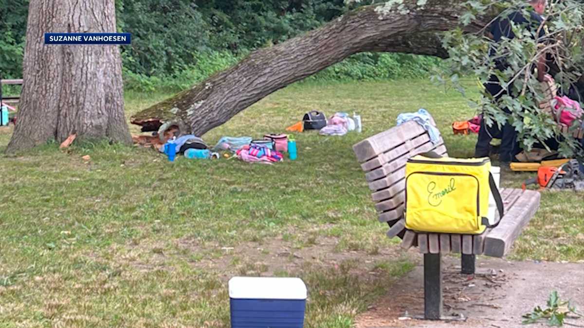 Tree limb weiging falls on kids at Norwood, Mass. summer camp