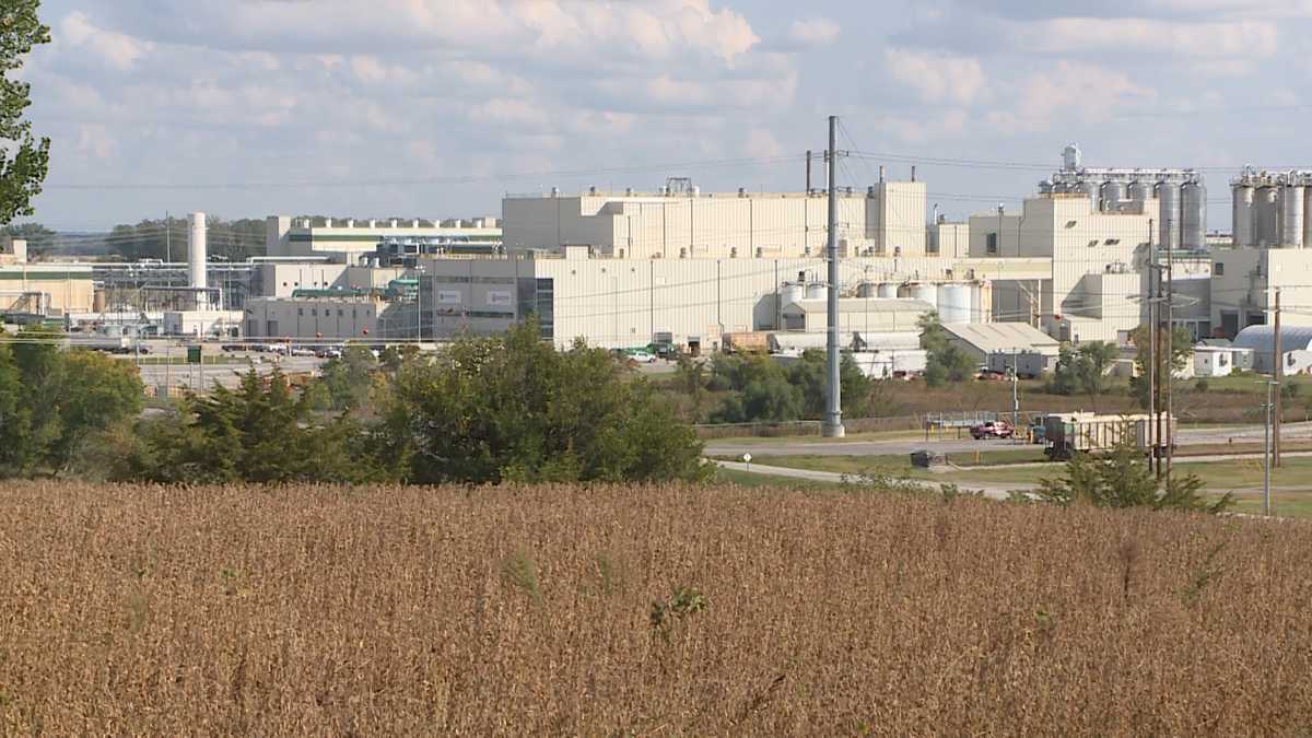 Novozymes plans $300 million Blair investment