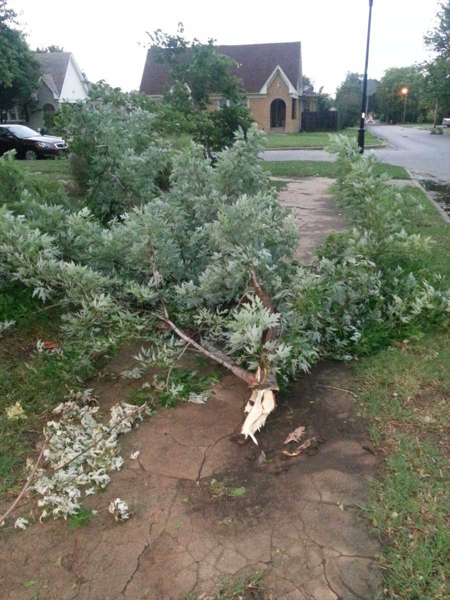 Gallery: Viewers share pictures of hail, damage caused by Thursday's ...