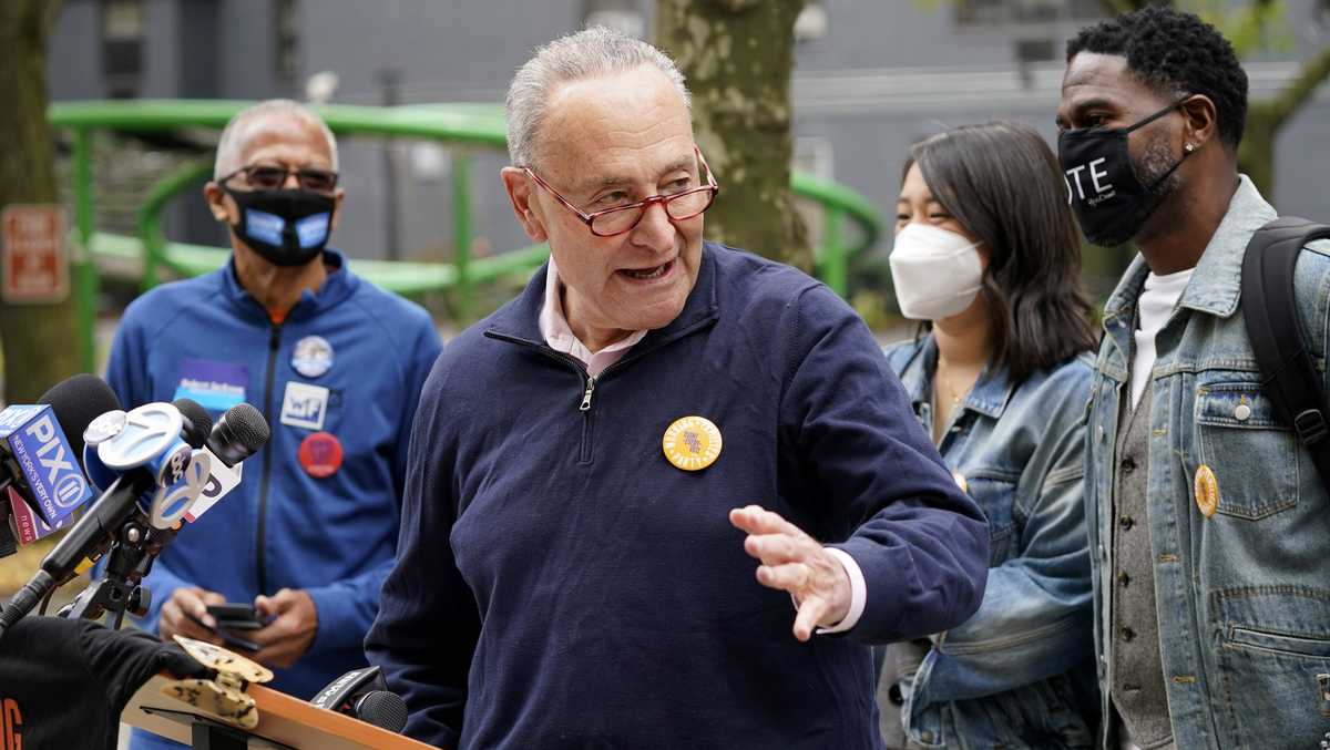 Fight for Senate control awaits in Georgia after Biden's win