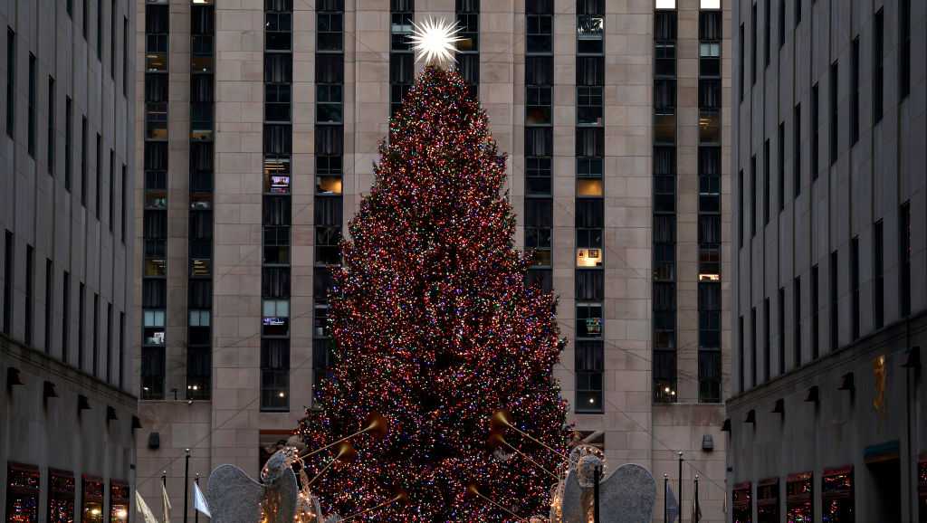 Spruce from Mass. picked as Rockefeller Center's Christmass Tree