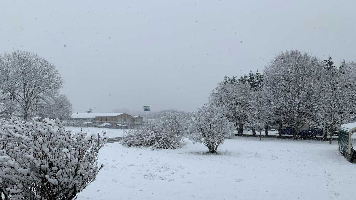 Pictures, video: Saturday snow falls across Upstate