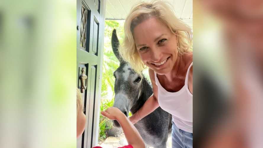 Donkeys in Florida use Tropical Storm Debby as excuse to hang inside