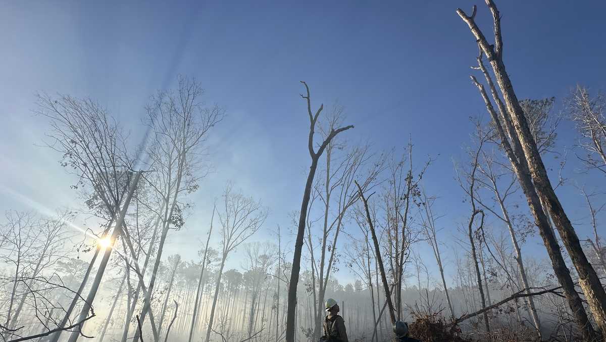 Oconee County: Yellow Branch wildfire update