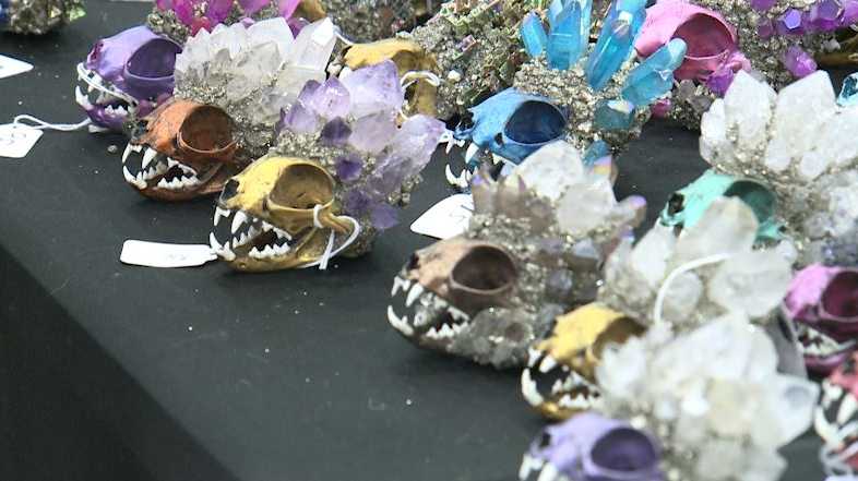 Oddities and Curiosities Expo returns to Louisville