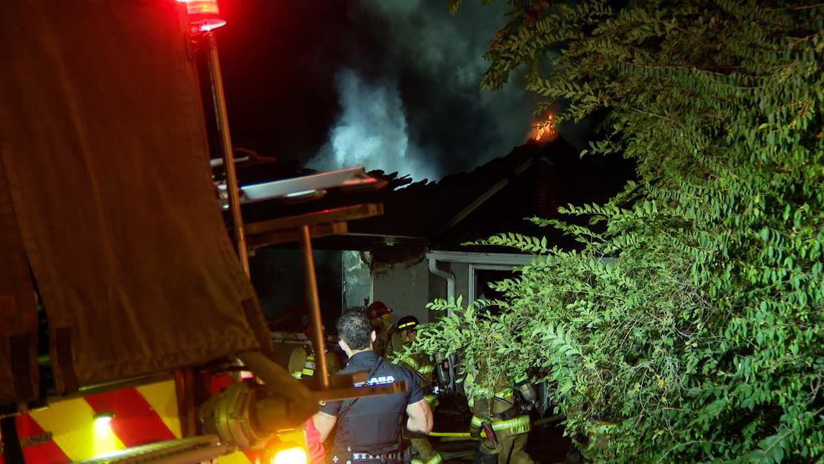 Omaha house fire kills 9 animals, 4 rescued