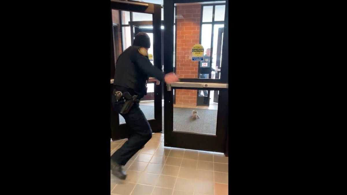 Hilarious video: Officers flip out when squirrel wanders into police ...