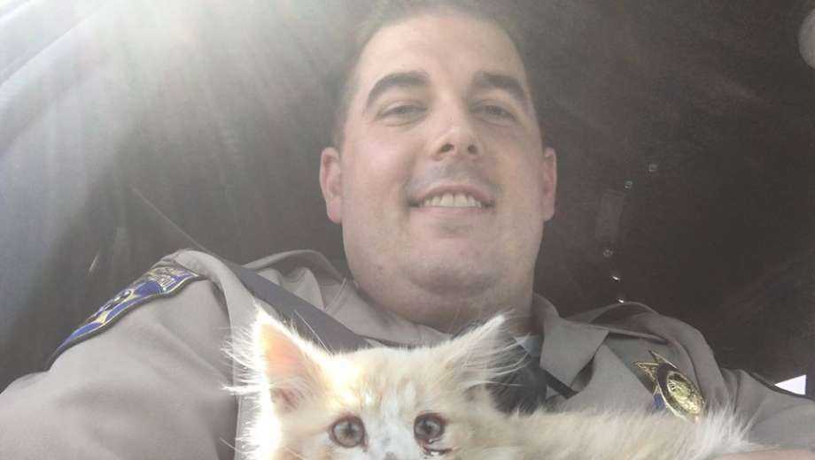 Police rescue kitten on Golden Gate Bridge, officer fosters him