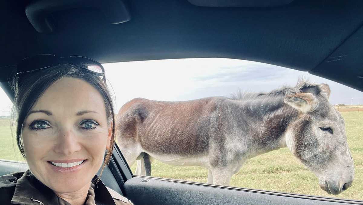 Oklahoma trooper makes unusual find while searching for suspect