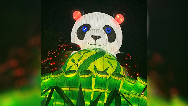 OKC Zoo's Safari Lights tickets on sale for Zoofriends members